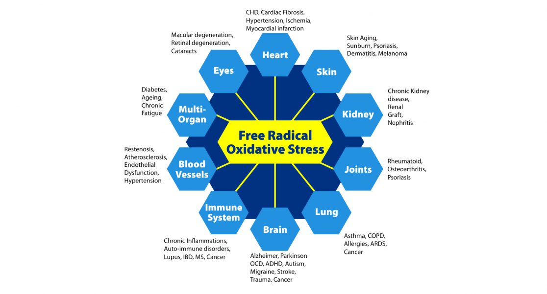Eating to Reduce Oxidative Stress | Why You Need Antioxidants